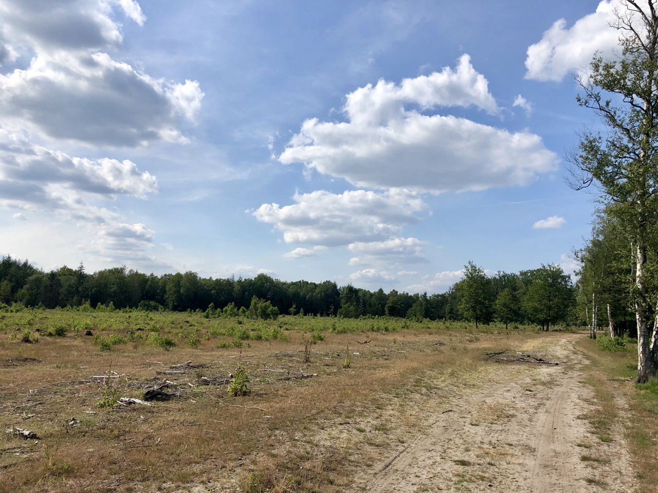 Leenderbos Ultra Trail - Trail Running