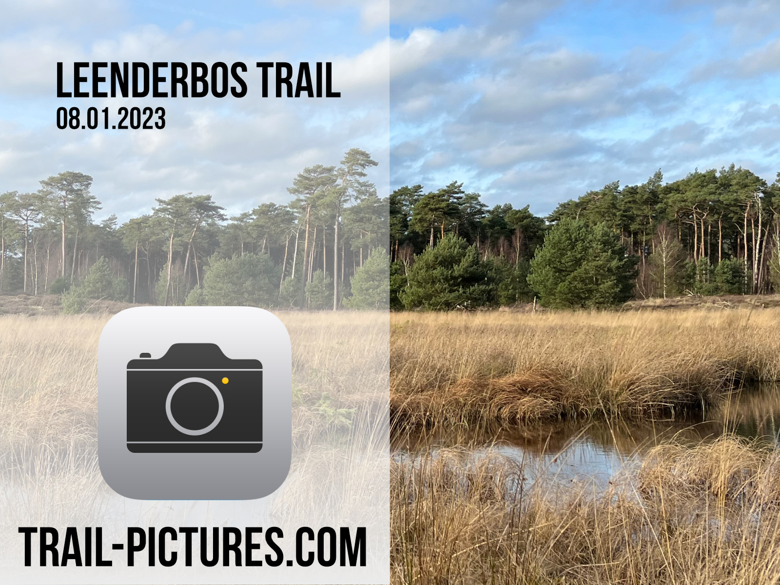Leenderbos Trail - Trailrunning