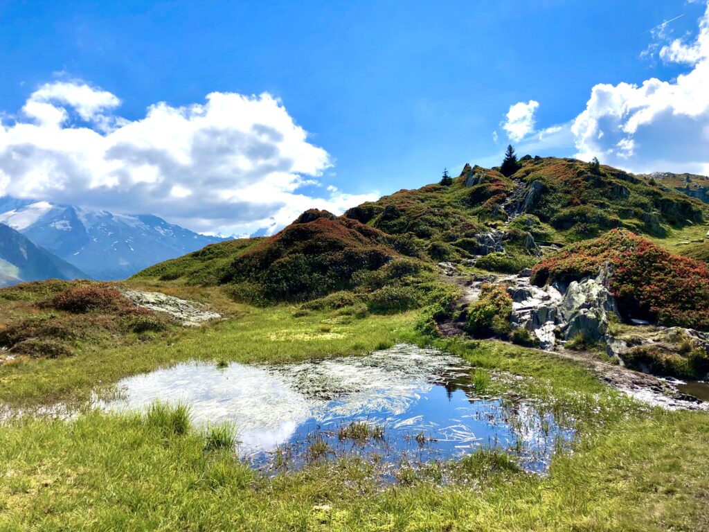UTMB - Running Stones - Trail Running